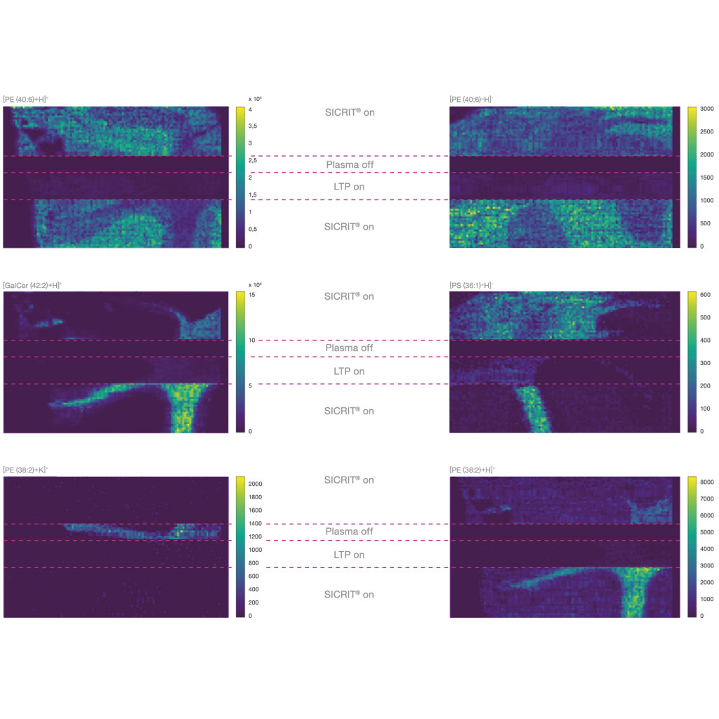 SICRIT® MS Imaging Applications