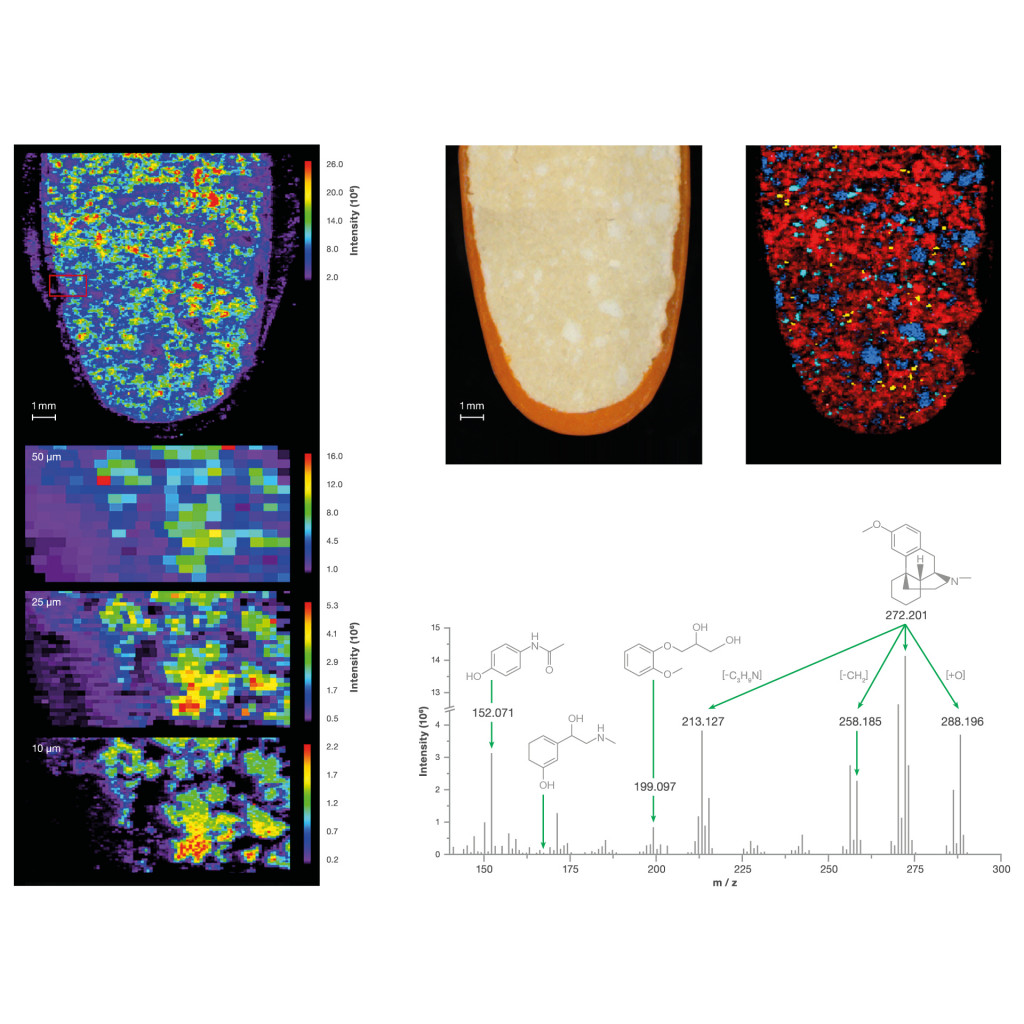 SICRIT® MS Imaging Applications